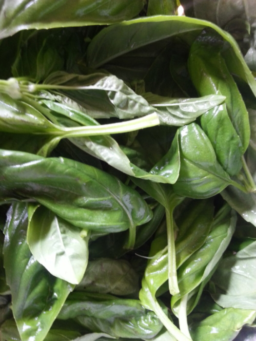 Basil and Spinach Pesto | The Sugar Pixie